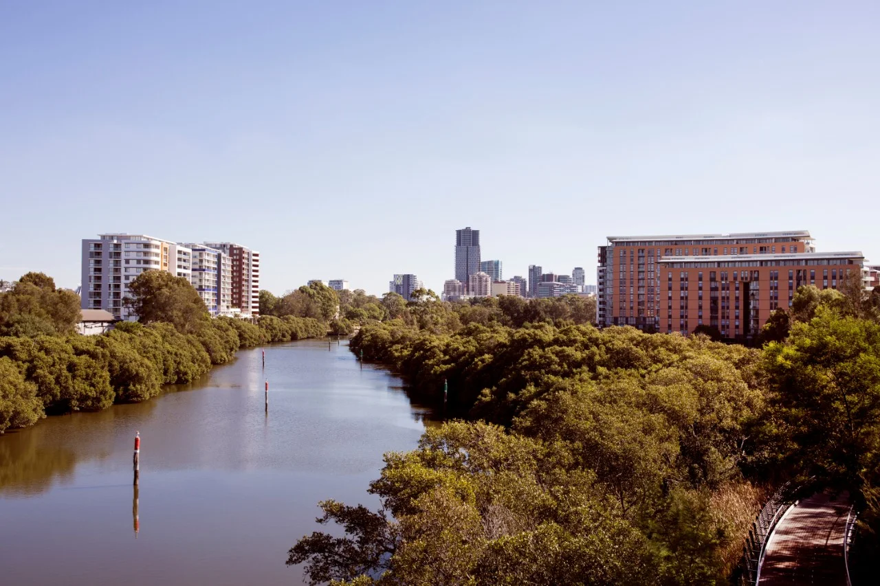 Study Tours | The College