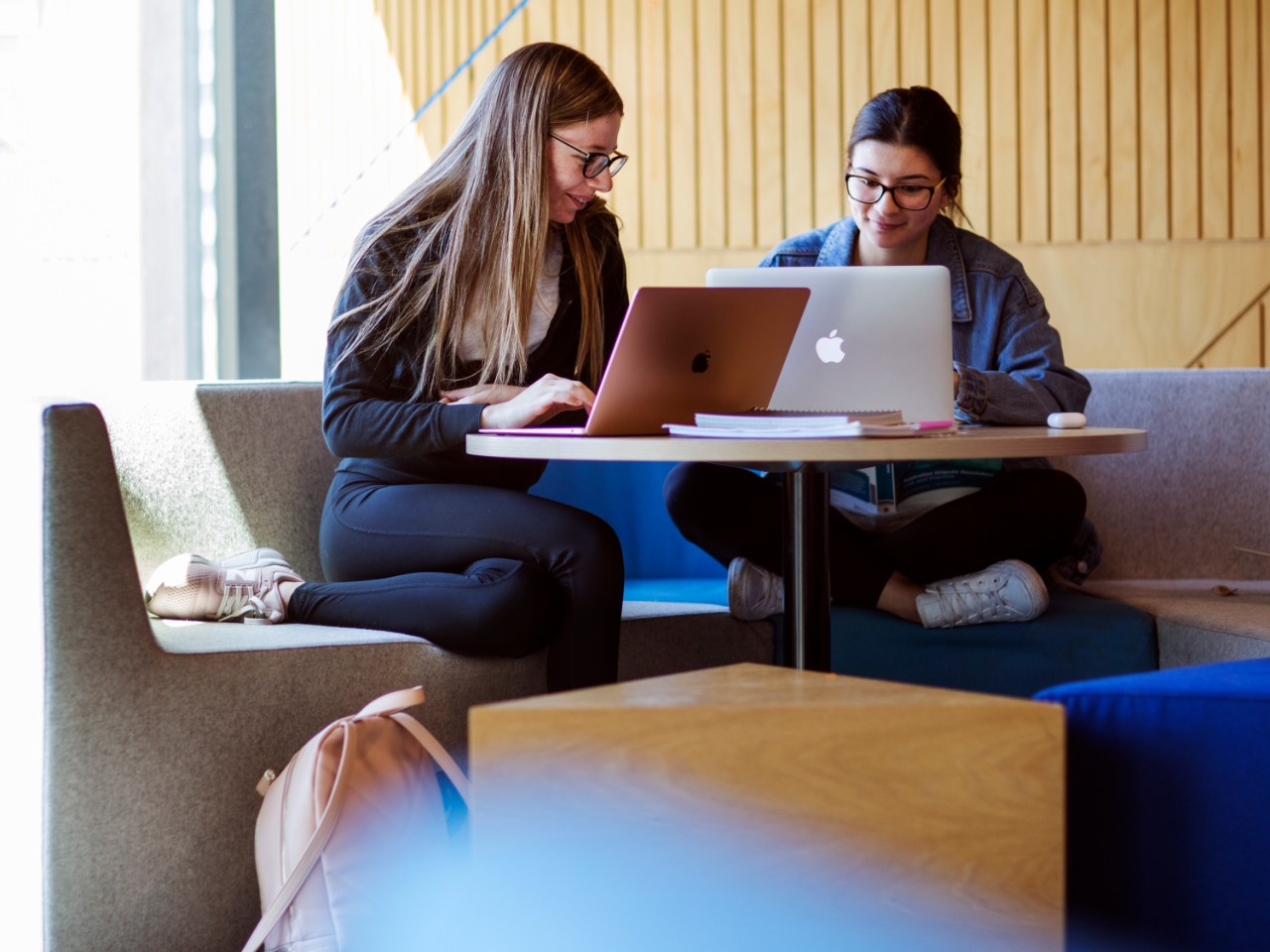 Big Picture Pathway | Western Sydney University
