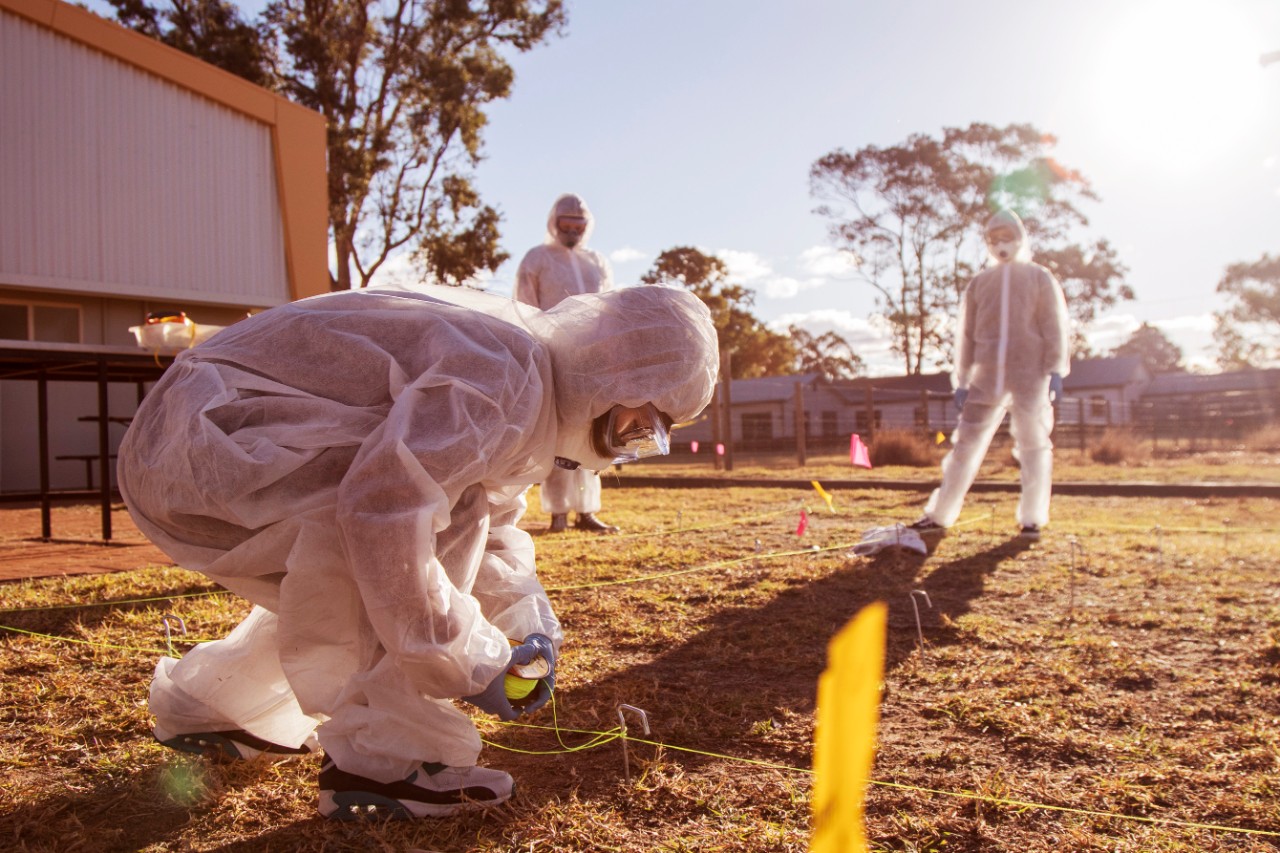 Master of Global Security and Justice | Western Sydney University