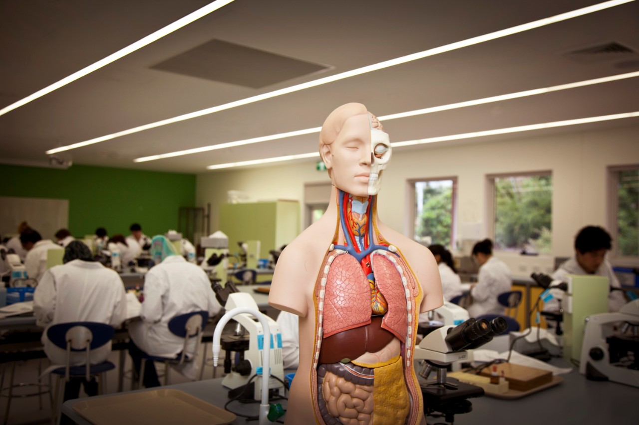 Science Programs | Western Sydney University