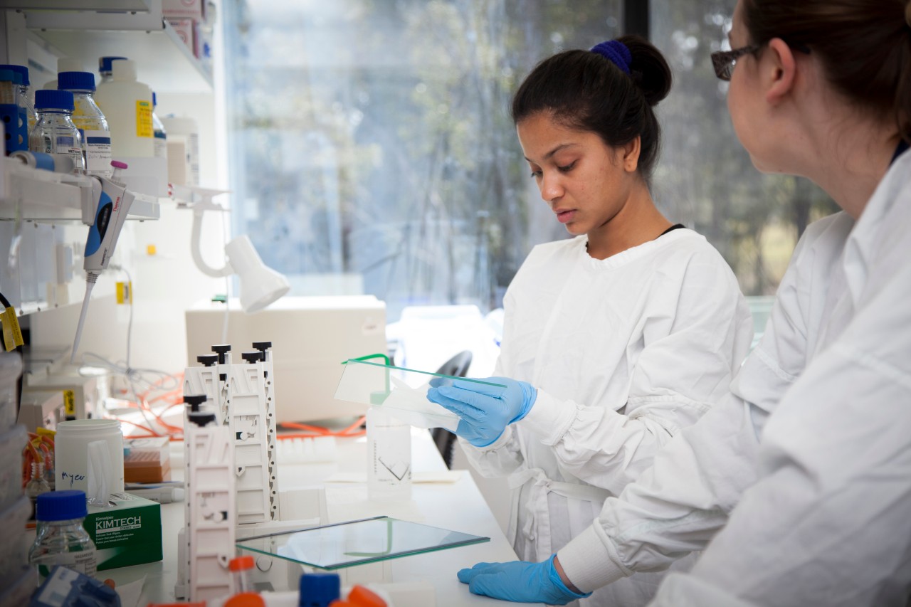 Graduate Diploma in Digital Health | Western Sydney University