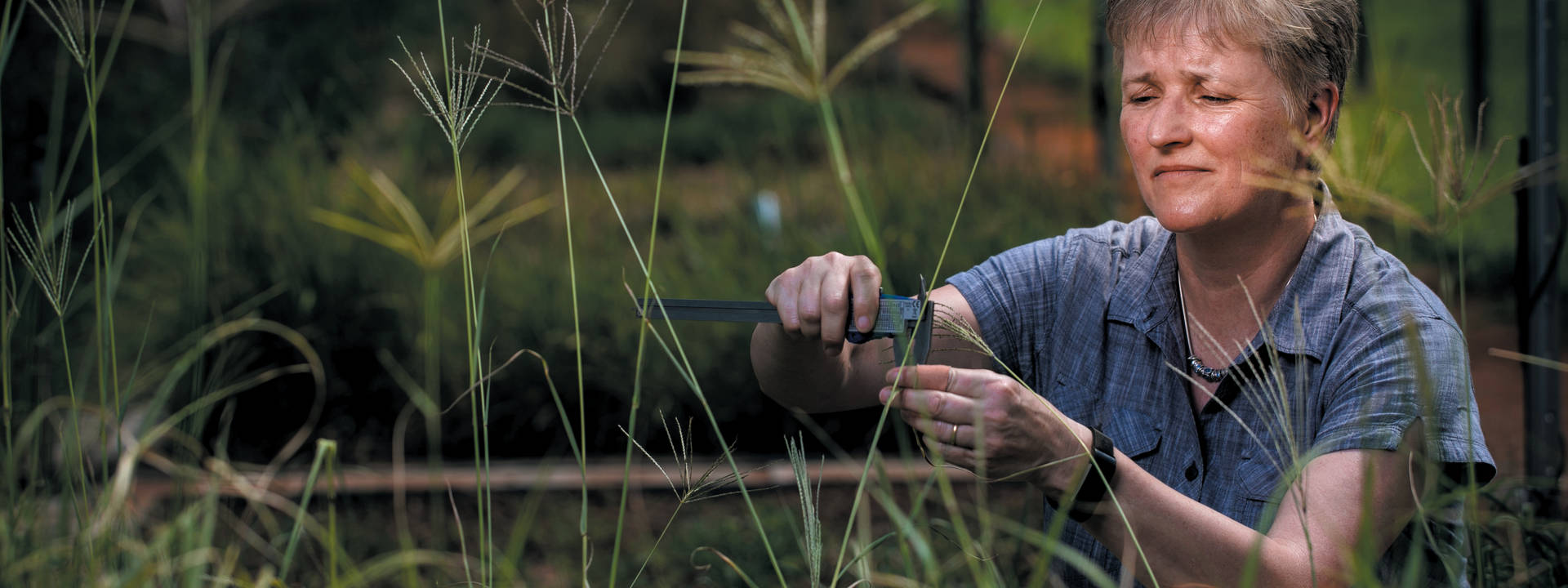 Blueprint for a Land of Droughts and Flooding Rains