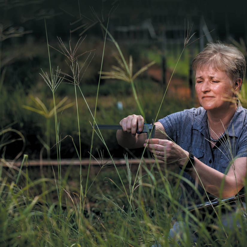 Blueprint for a Land of Droughts and Flooding Rains