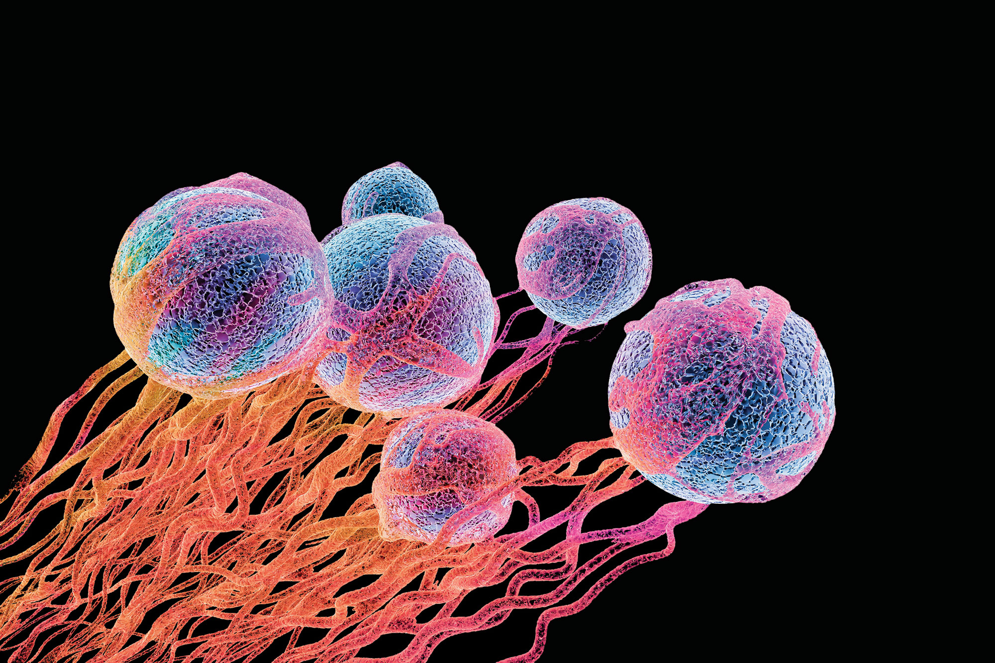 Cancer DNA in the Crosshairs | Future-Makers