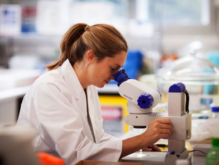 Frequently Asked Questions for Master of Research Candidates | Western ...