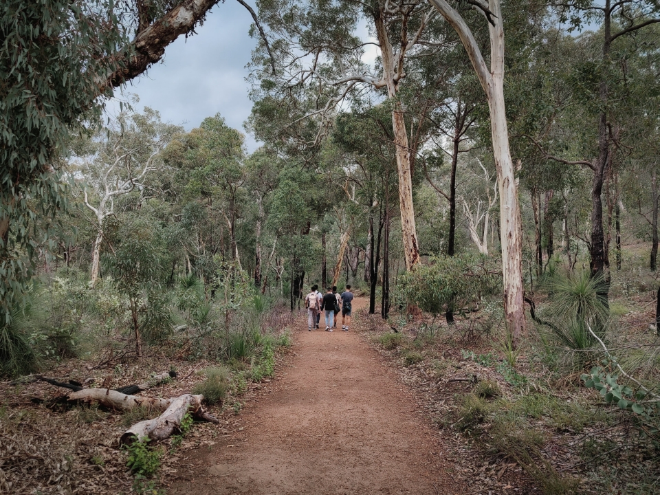 Bachelor of Engineering (Honours) (Sustainability Engineering ...