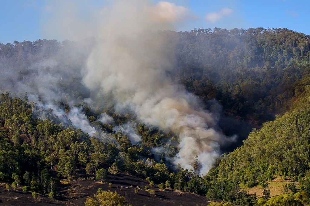 A Cool Approach to Land Management | Future-Makers