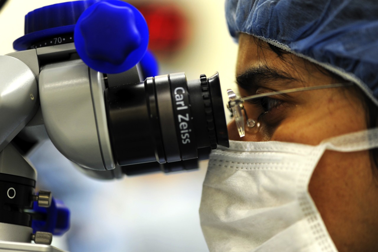 Bachelor of Medical Science | Western Sydney University