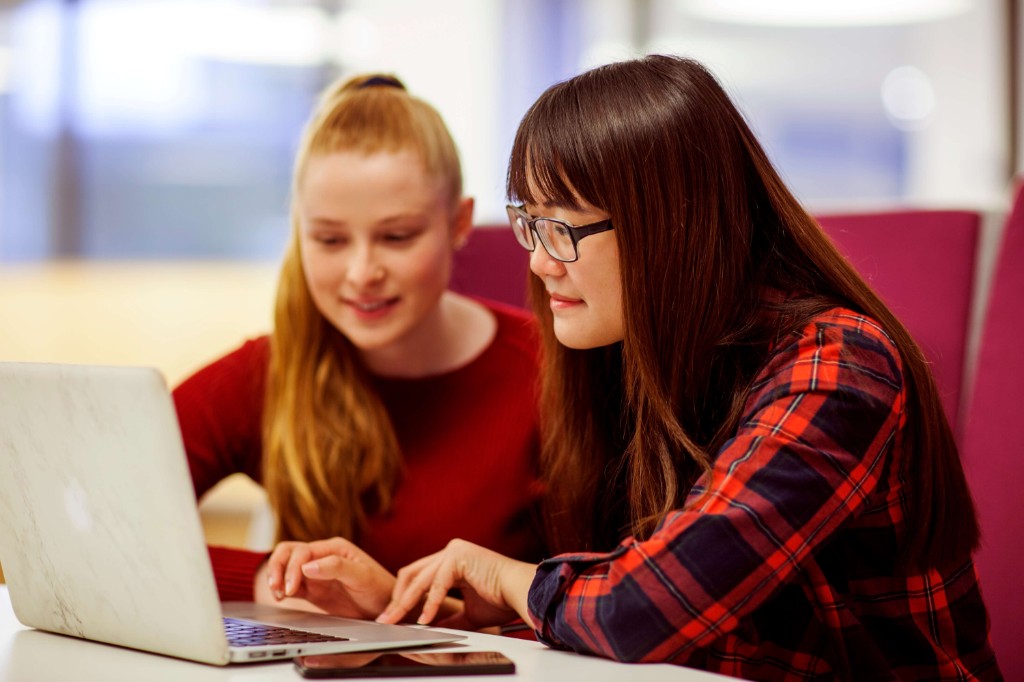 Pathway Programs | The College