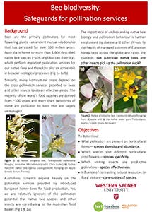 Supporting Healthy Bees And Healthy Crops - Hort Frontiers Pollination Fund