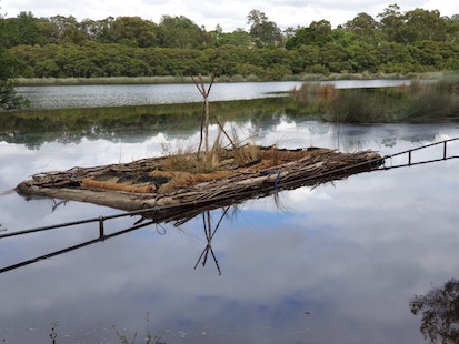 Global turtle study highlights extinction risk and roadmap to recovery