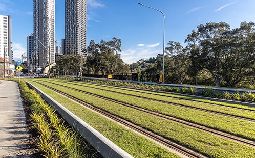Green track comes to life in heart of Parramatta