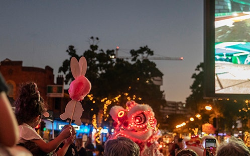 Strengthening Social Cohesion Conference to foster community resilience ...