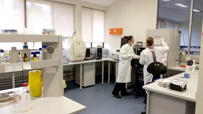 Biological & Molecular Sciences Research Laboratories | Western Sydney ...
